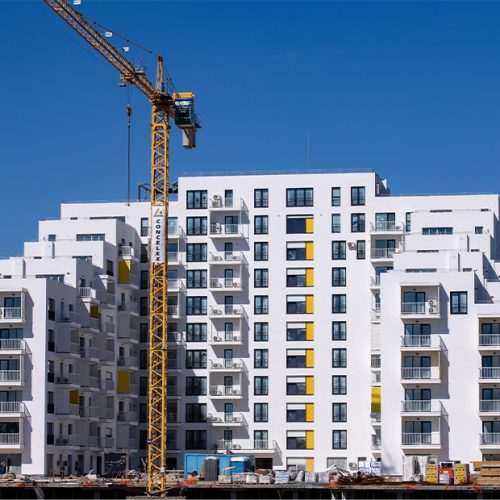 Concelex | Concelex Romania